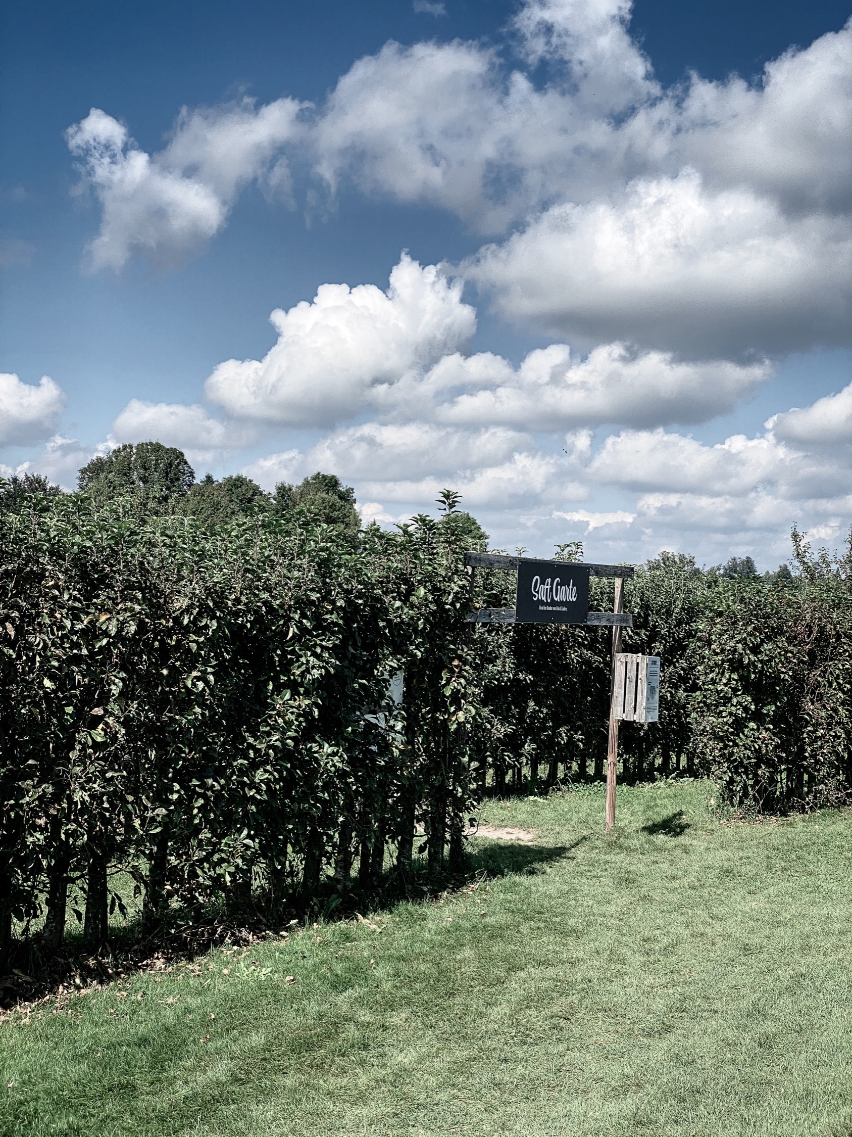 Jucker Farm - Pumpkins Festival At U-Pick Farm - MonAme Magazine